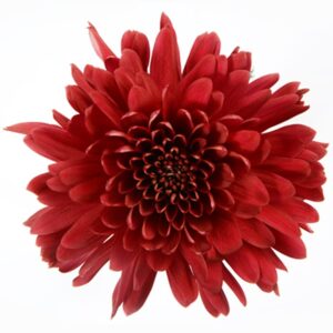 Products | Andean Fields International